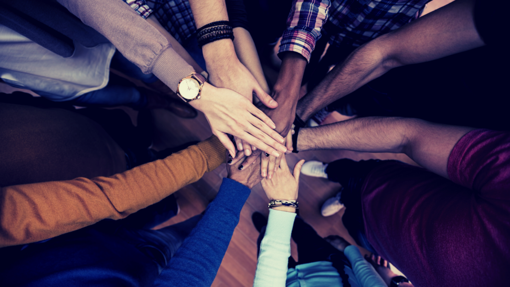 Generation W – Generation W